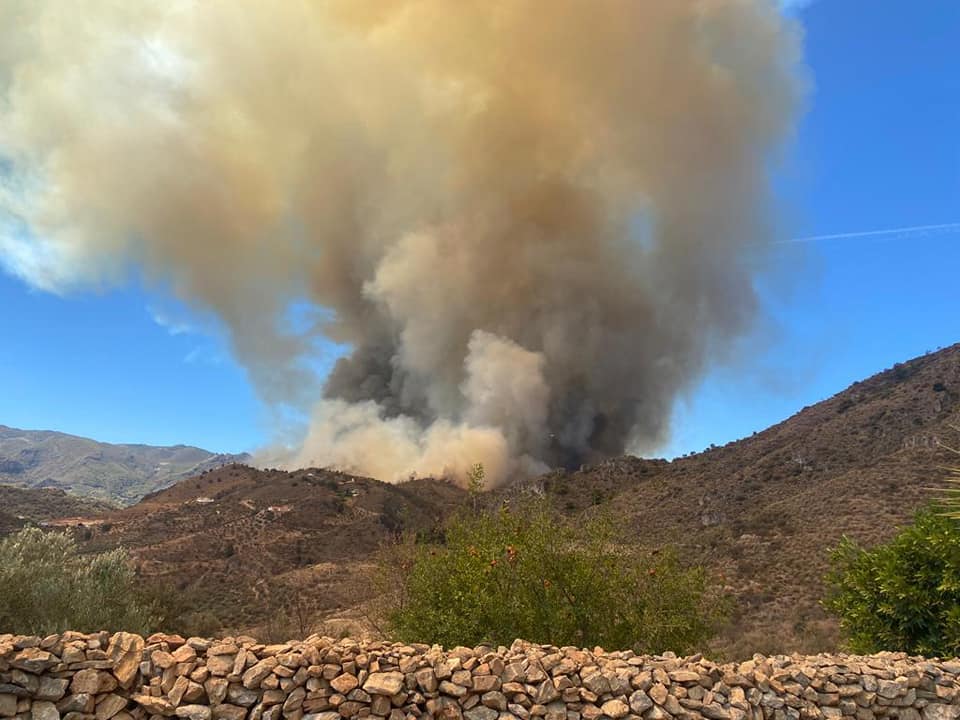MASSIVE FOREST FIRE IN SPAIN’S GRANADA REGION SEEN FROM ALMERIA - Olive ...