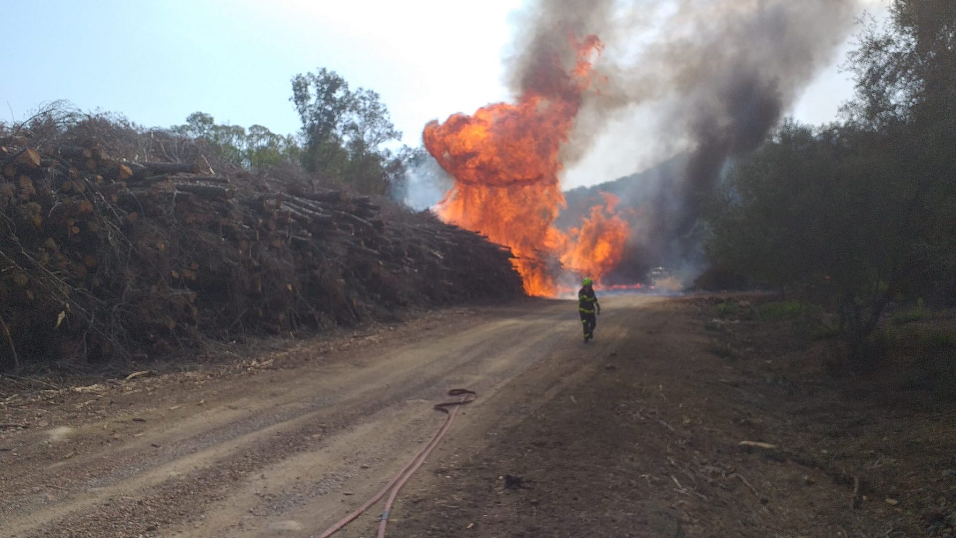 Firefighters battling large blaze in Cadiz - Olive Press News Spain