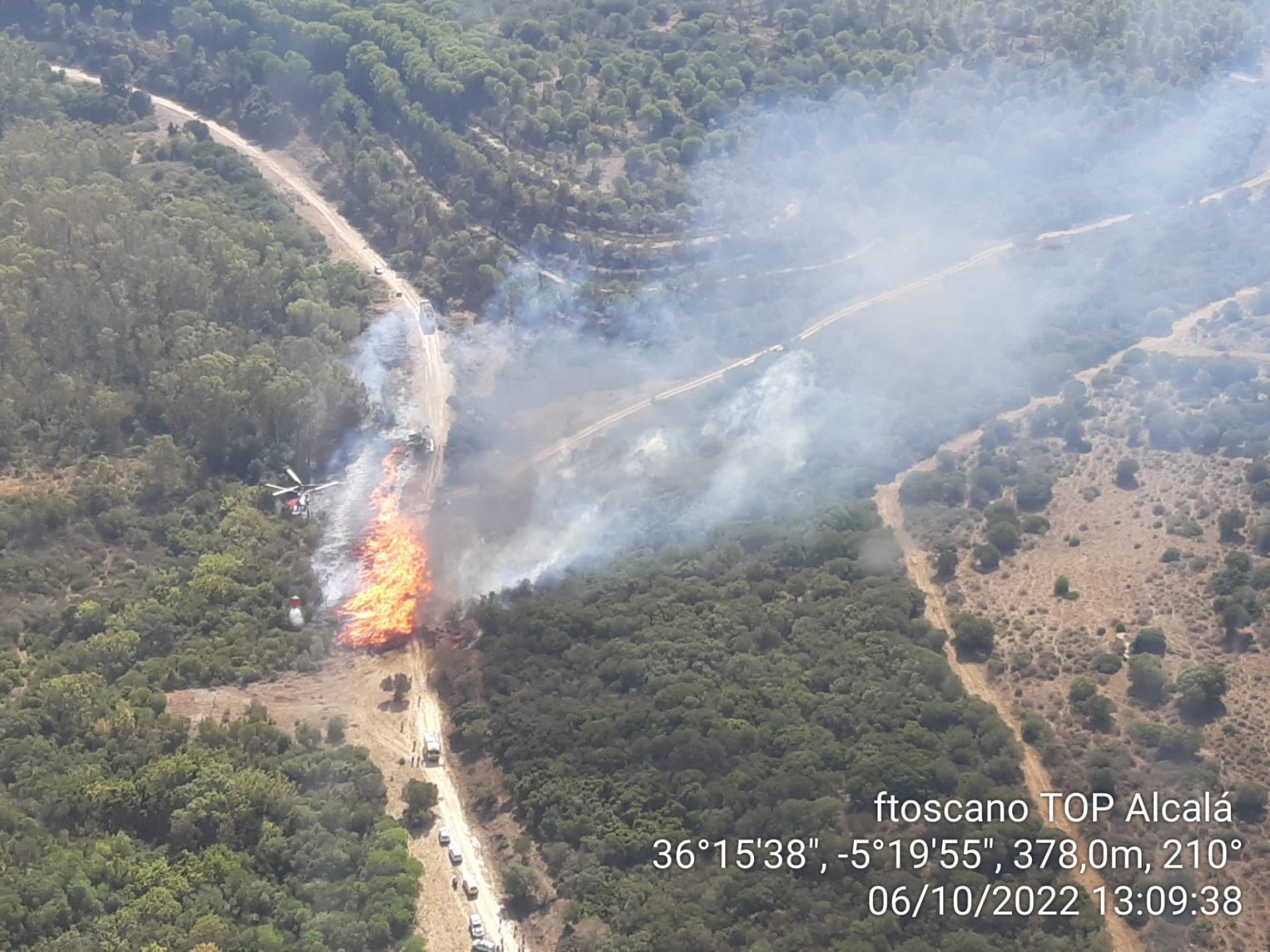 Firefighters battling large blaze in Cadiz - Olive Press News Spain