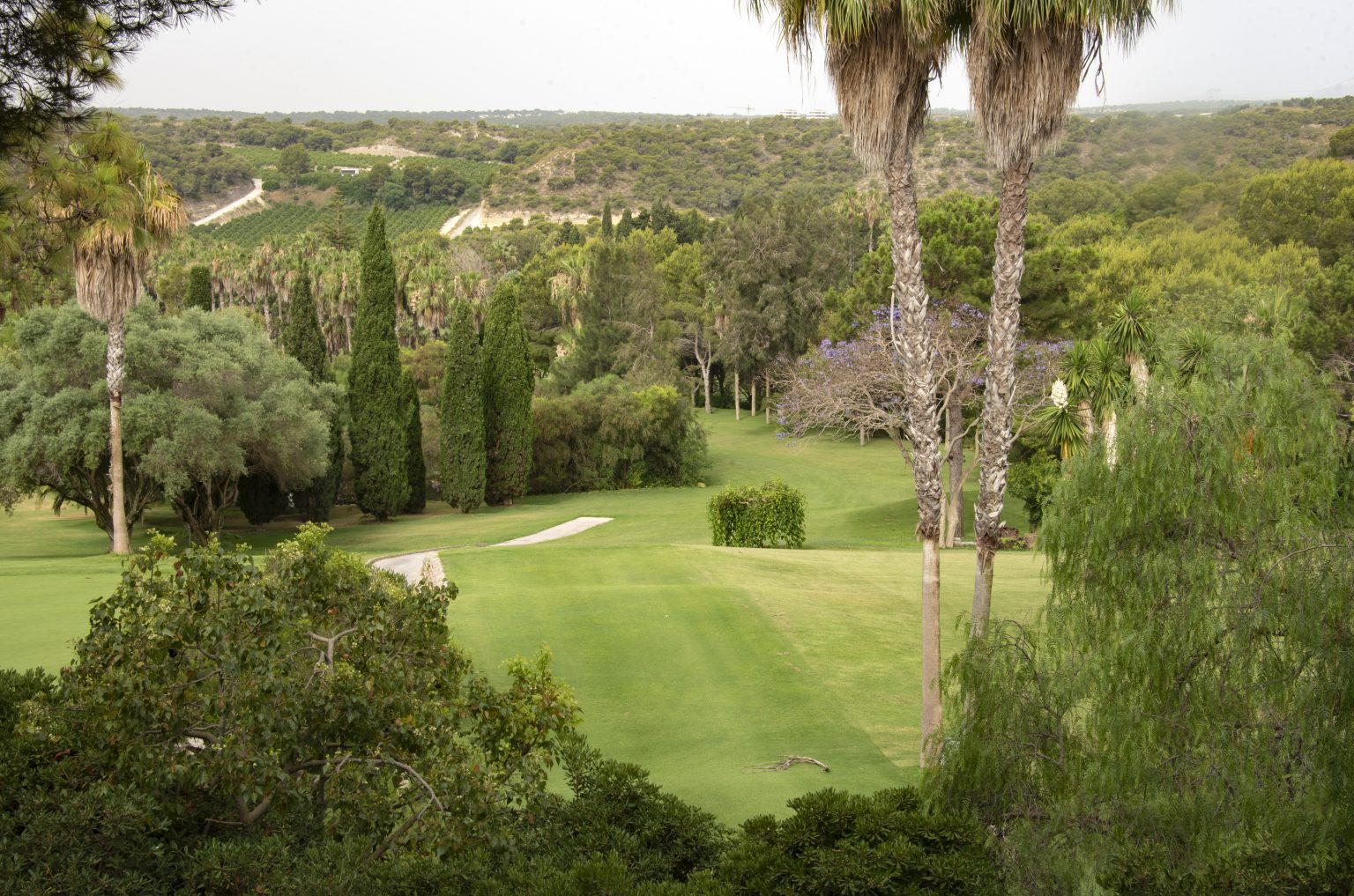 Mijas bans using drinking water in golf courses to battle the drought ...