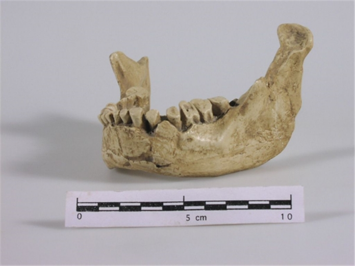 Human jawbone unearthed in Spain's Catalunya may be earliest example of ...