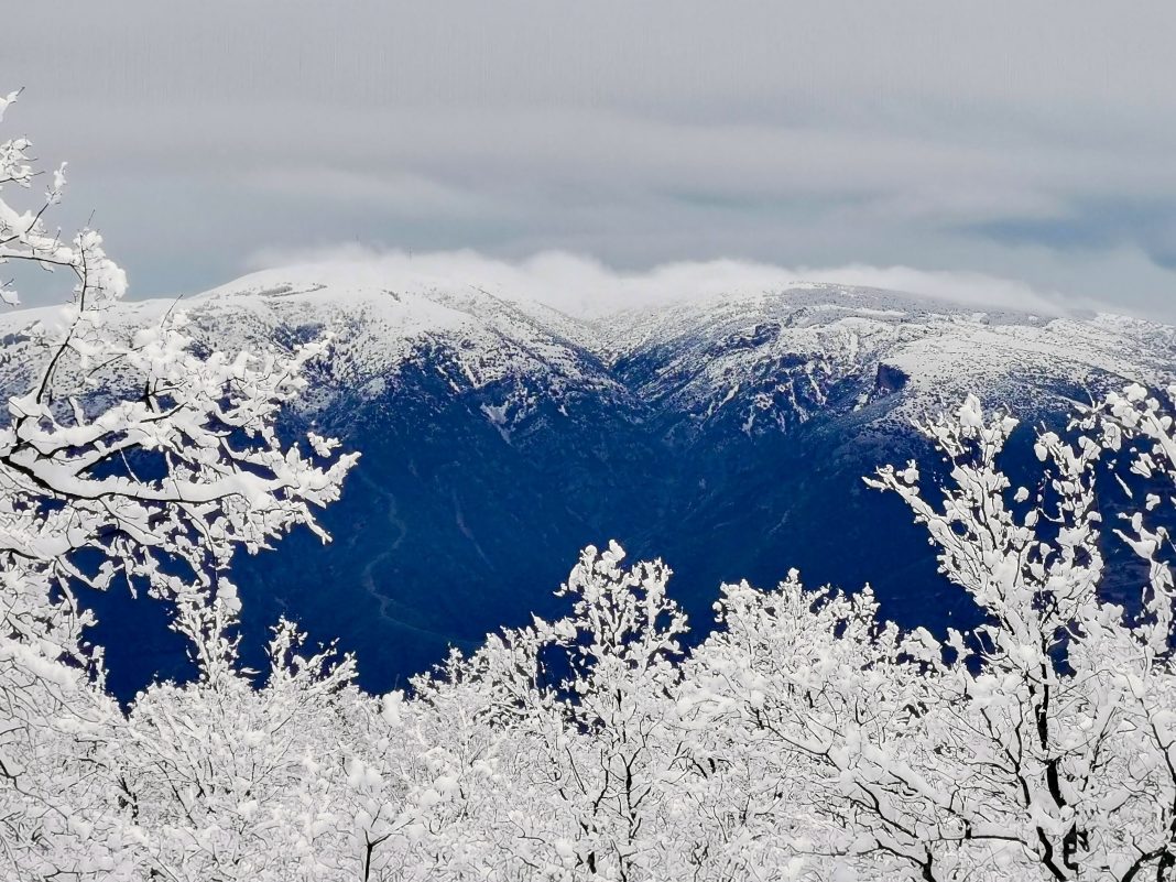 Torrential rain and gale force winds start to subside in Gibraltar as ...
