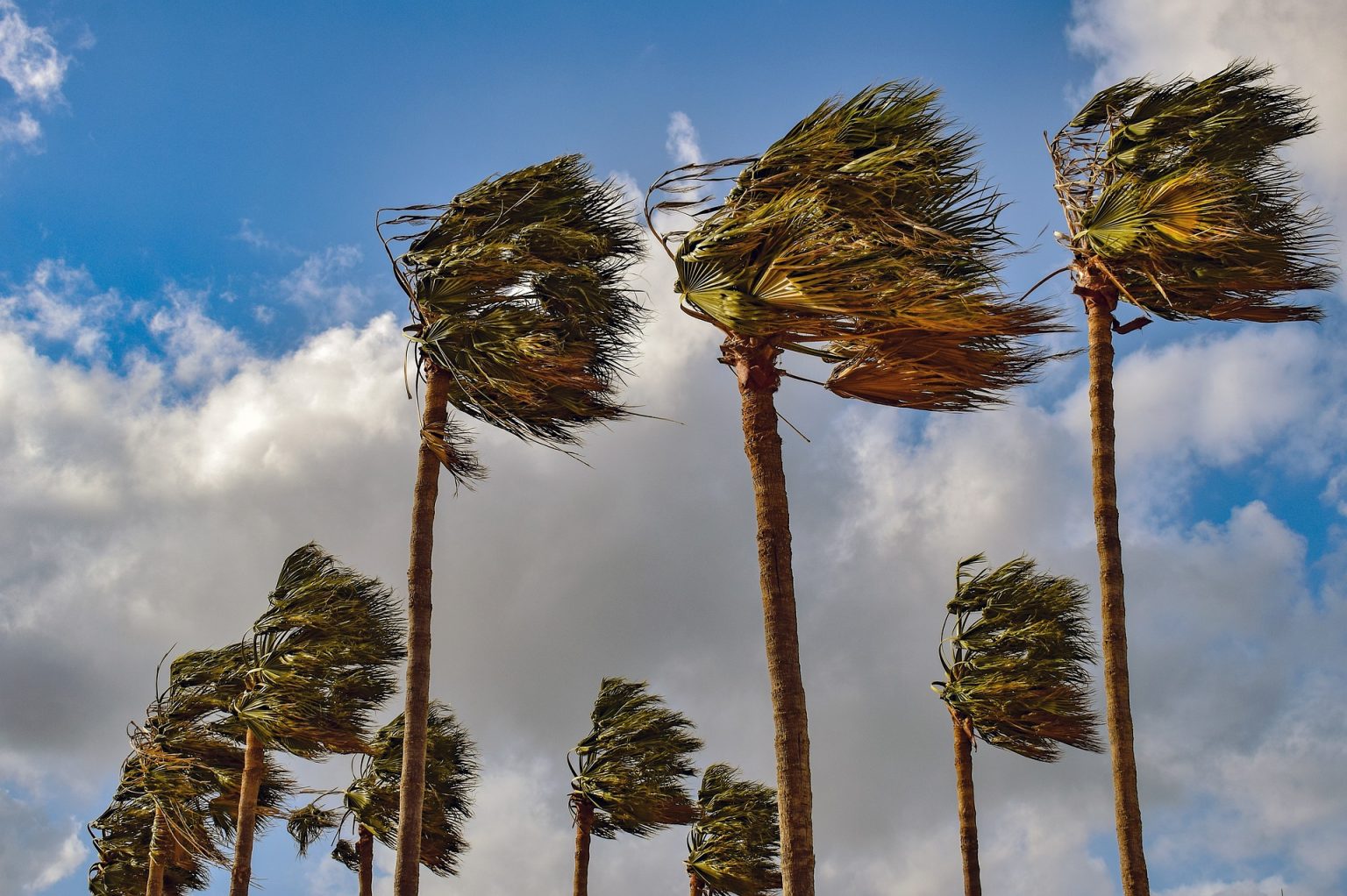 Storm Leonardo hits the Costa Blanca with yellow alert for high winds ...