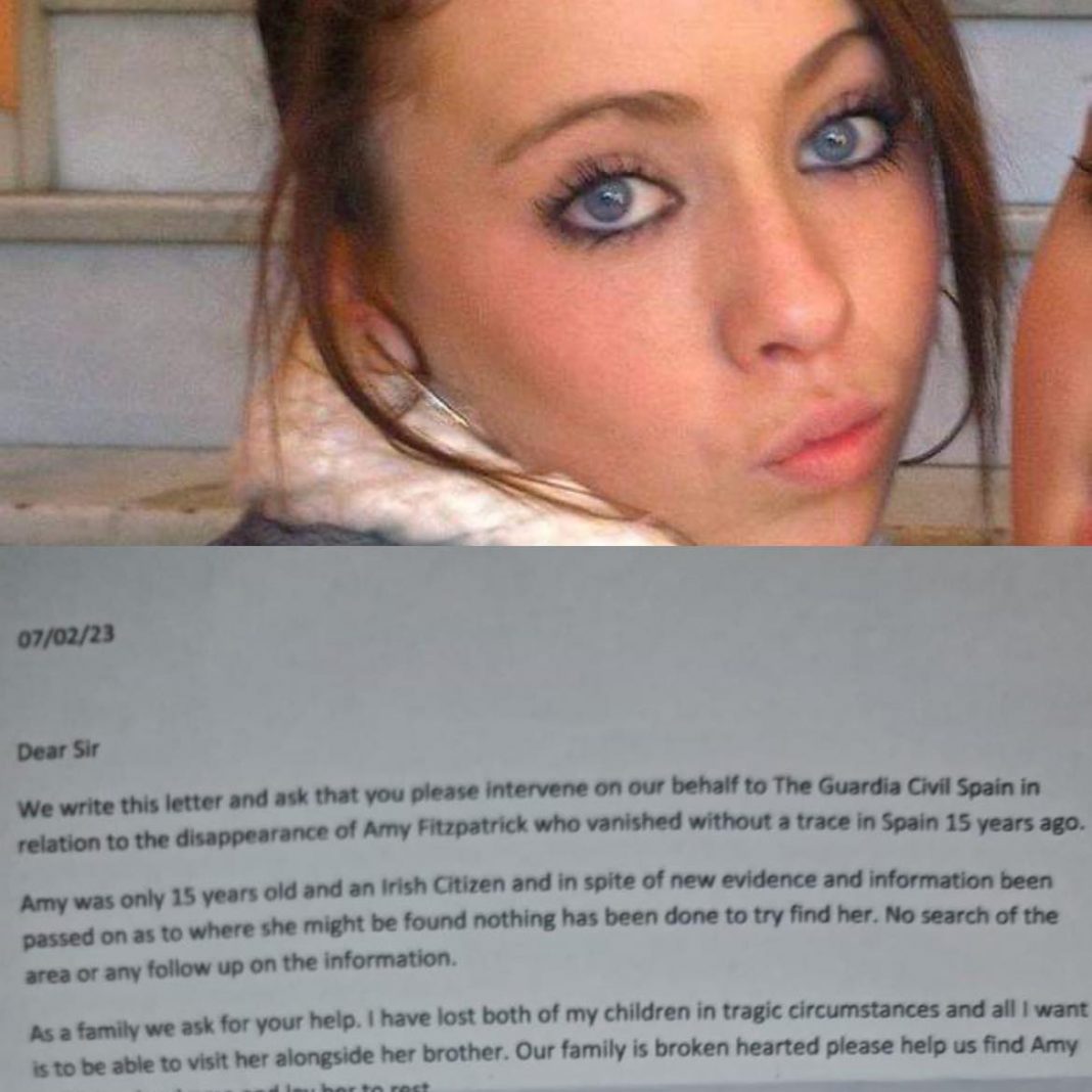 'We are broken': Family of missing Amy Fitzpatrick hope 'new tactic ...