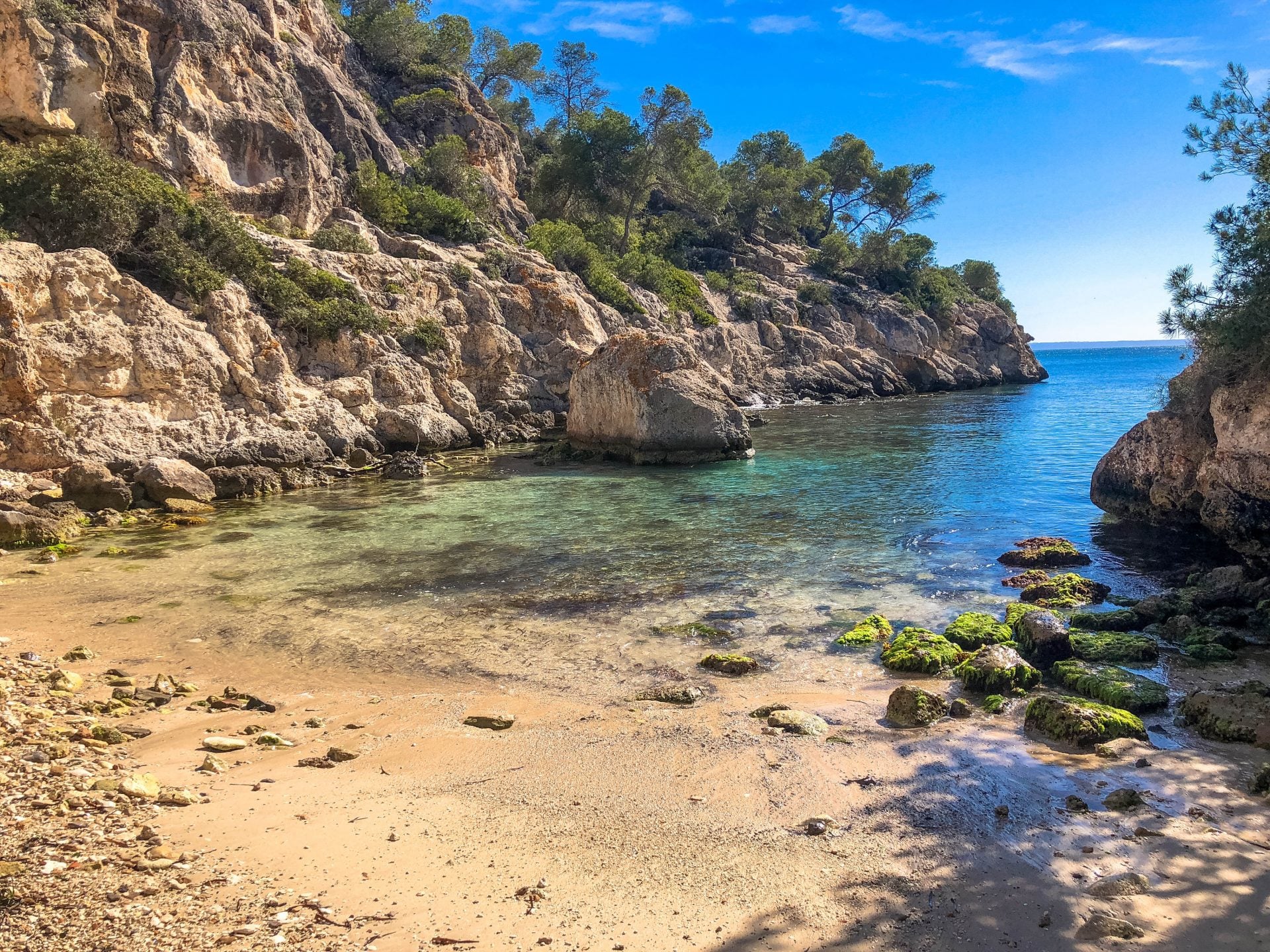 Mallorca listed as one of the top destinations for nature lovers in ...