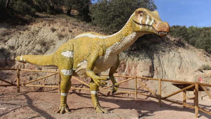 New dinosaur species found at Castellon area excavation site in Spain's ...