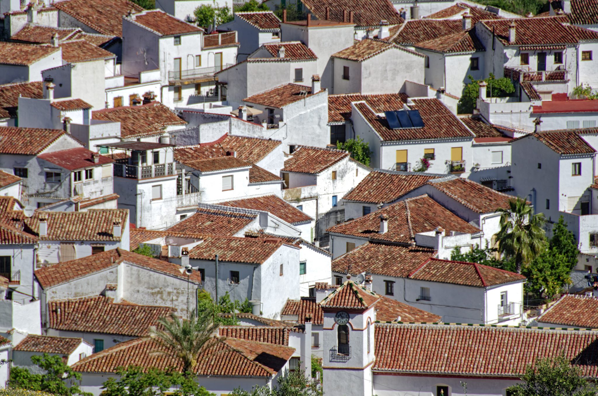 Spain’s housing crisis gets worse: Spanish rental market hit by double ...