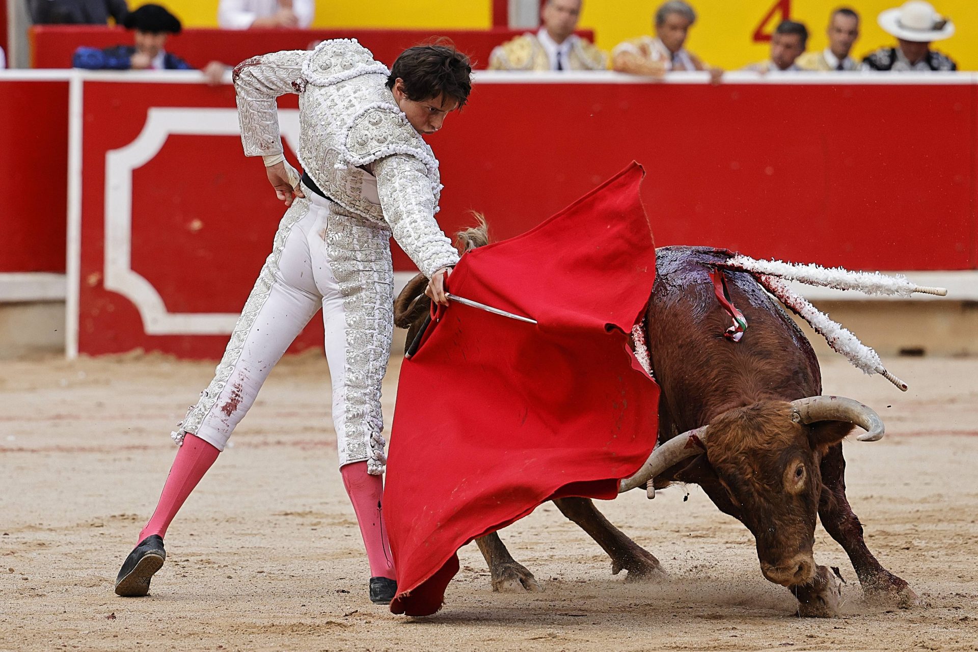 Bull’s revenge: Bullfighter suffers horrific goring while rescuing ...
