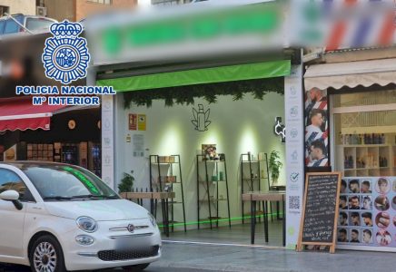 Alarming loss of insect species in Mediterranean forests caused by ...