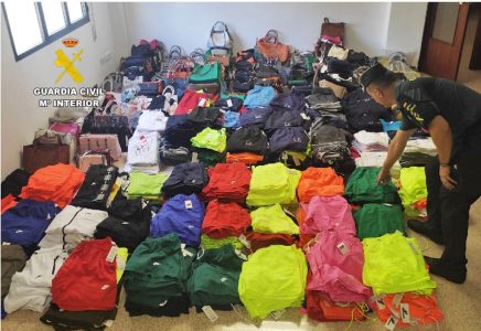 Alarming loss of insect species in Mediterranean forests caused by ...