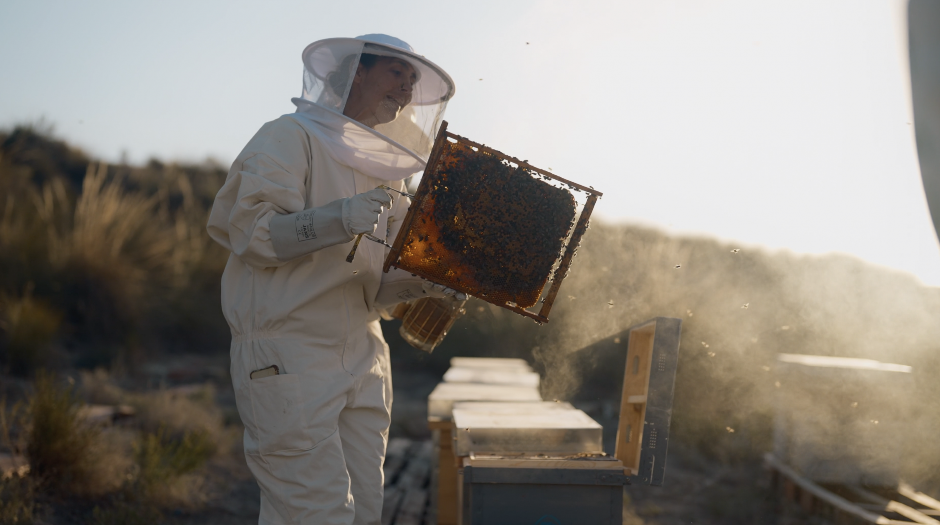 WATCH: Inspired by an article in the Olive Press, a British production ...