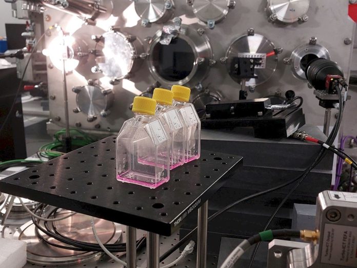 Fighting cancer: High doses of ultra fast radiotherapy with lasers are ...