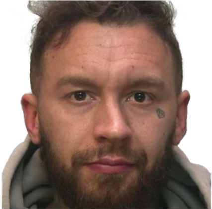 British vegan 'narco boss' and 'cocaine kingpin' are hiding among ...