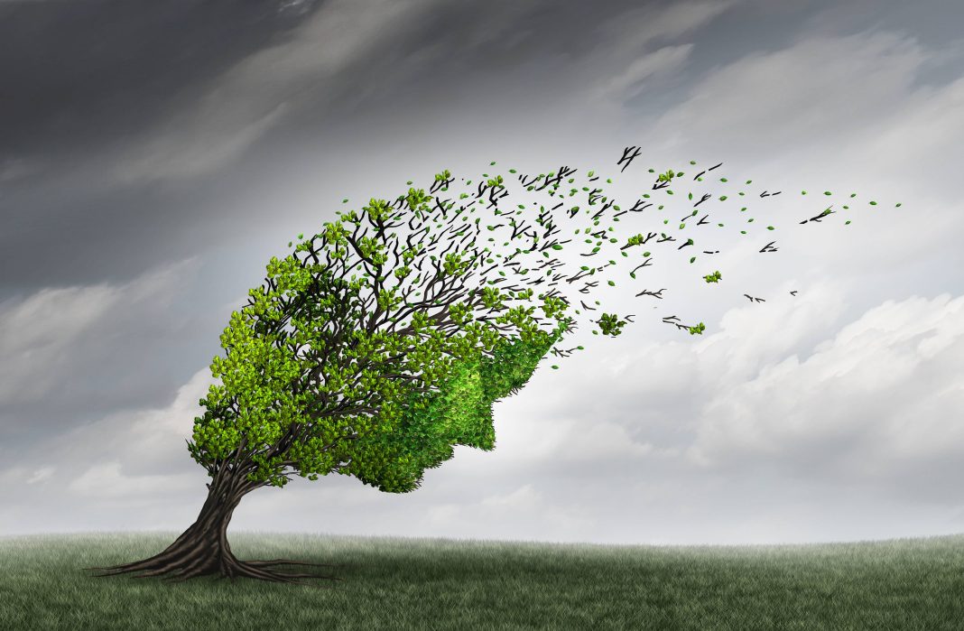 Strong winds cause injuries in Spain's Valencia: Woman is struck in the ...