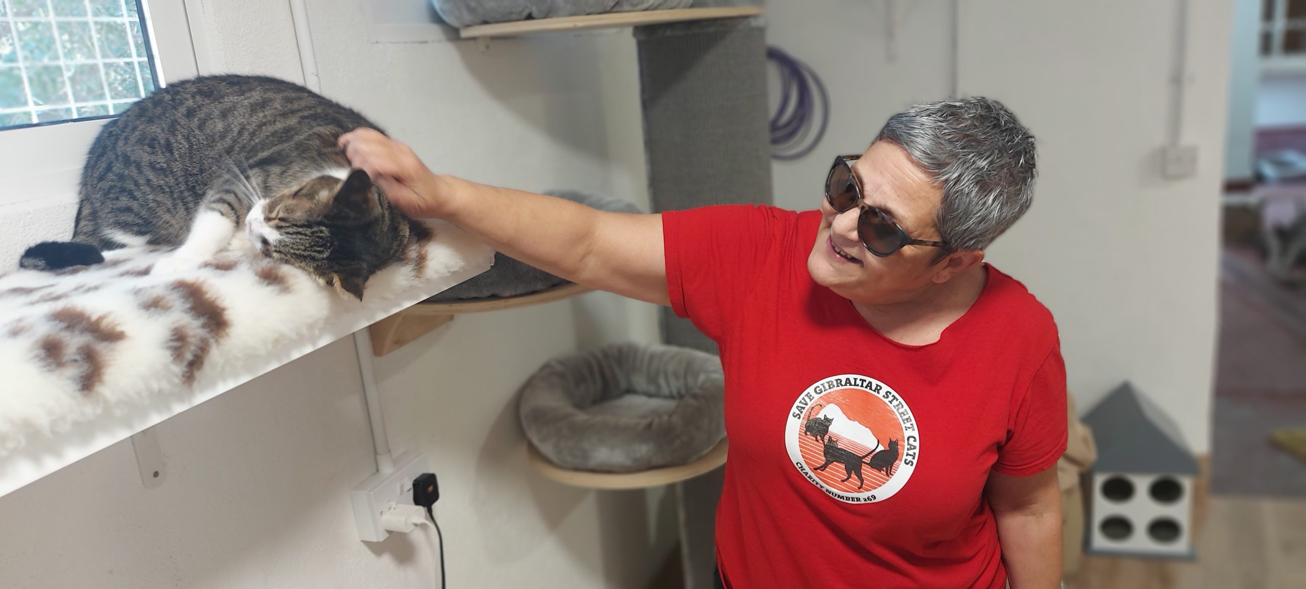 Love cats? This sanctuary in Gibraltar is looking for volunteers to ...