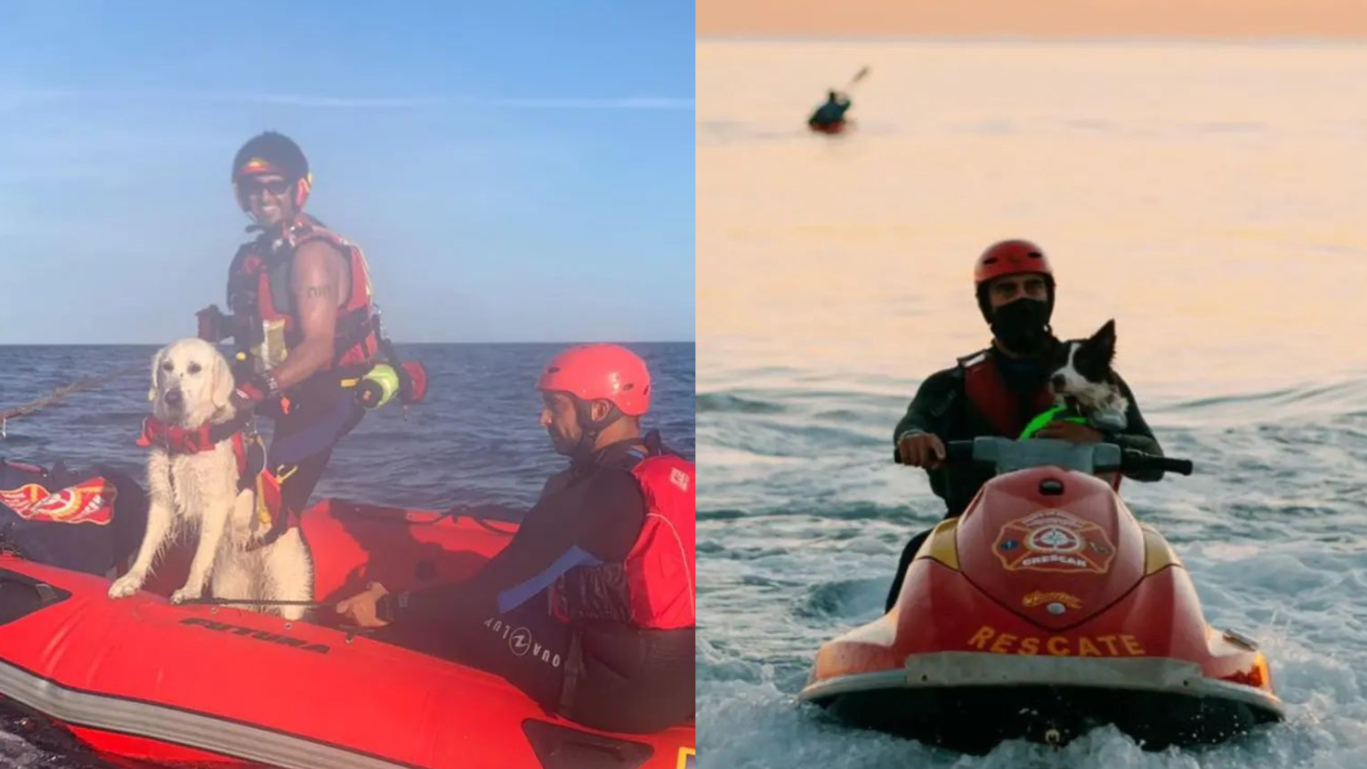 Ruff to the rescue: A beach on Spain’s Costa del Sol will introduce ...