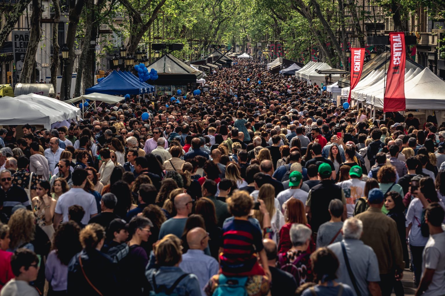 What is Dia de Sant Jordi? How the Catalunya region in Spain will ...