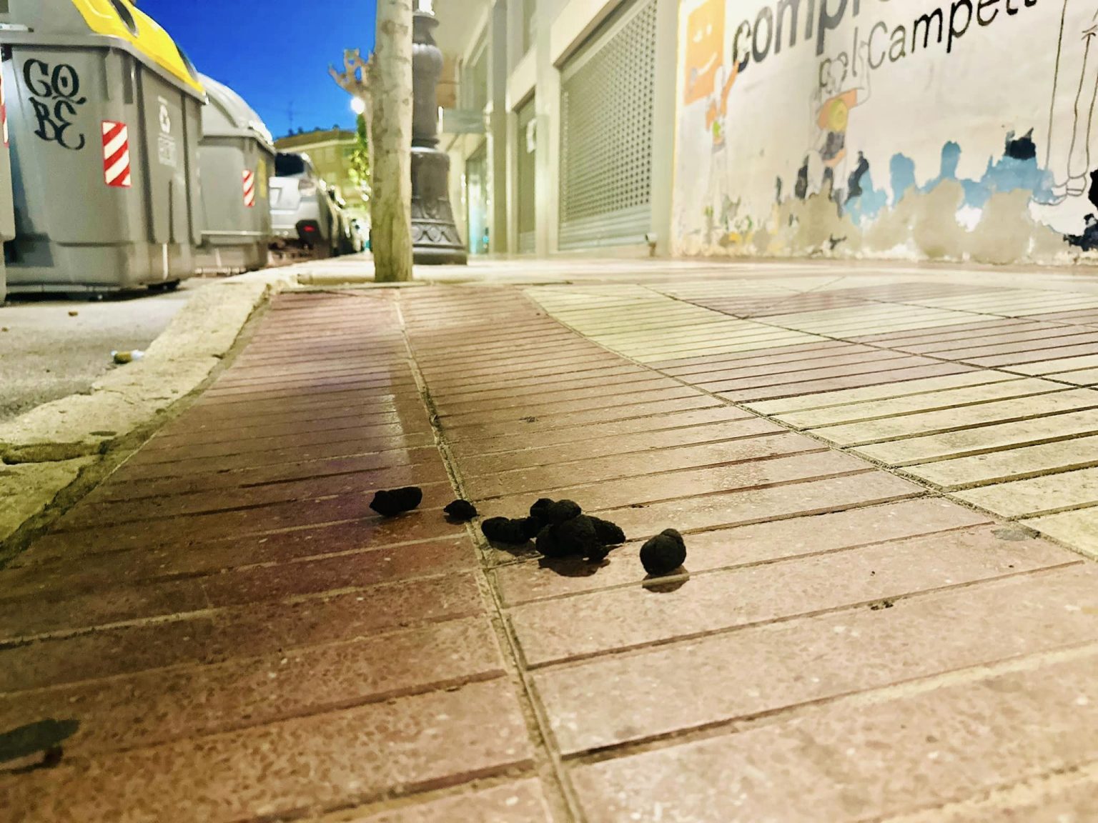 Alicante town declares war on dog poo: Council warns of €3,000 fines ...