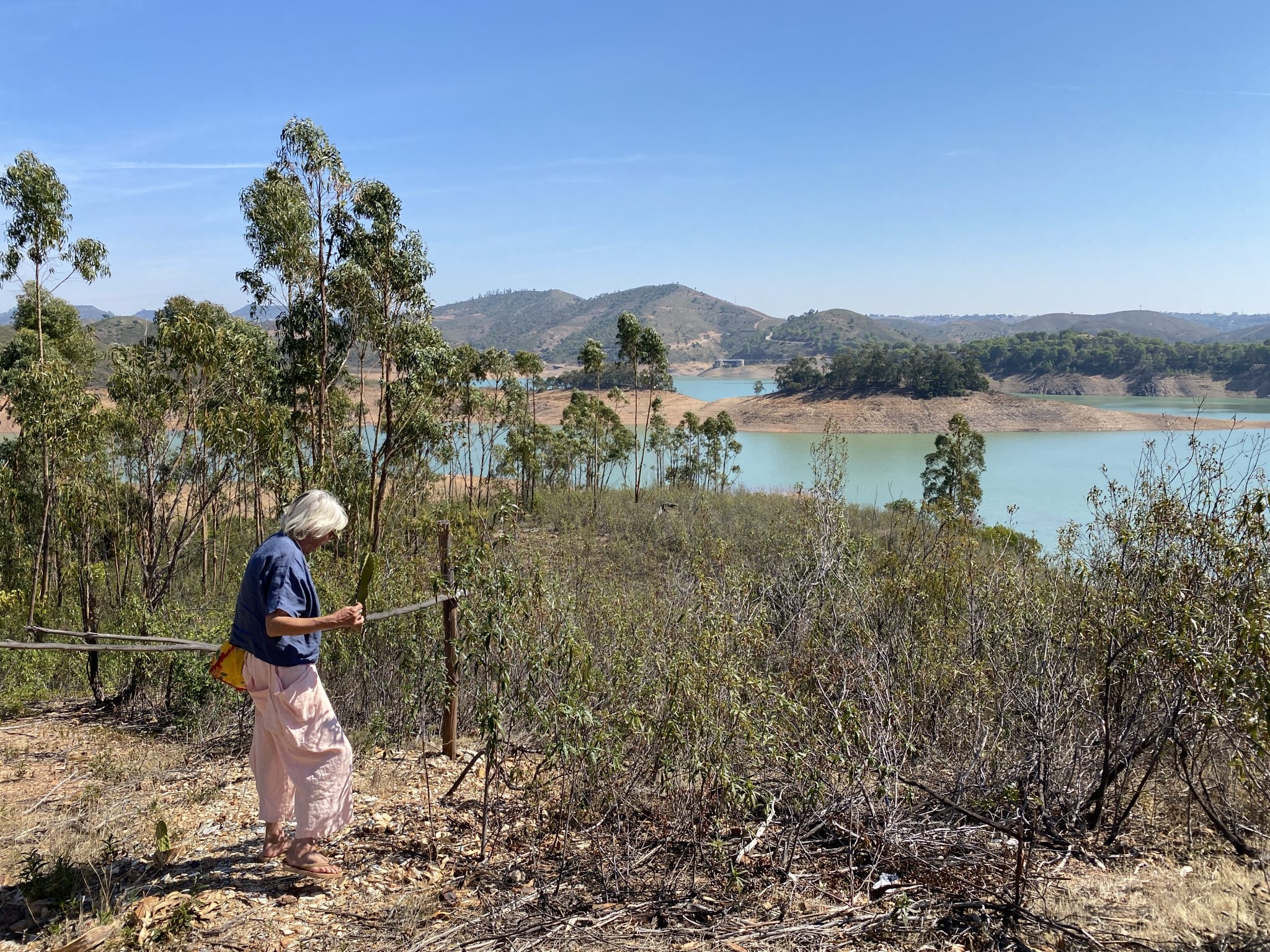 EXCLUSIVE: As the trial of Maddie suspect Christian Brueckner re-starts - and she would have ...