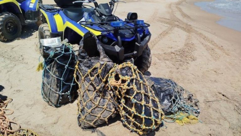 Cocaine shipment worth millions washes up on popular tourist beach in ...