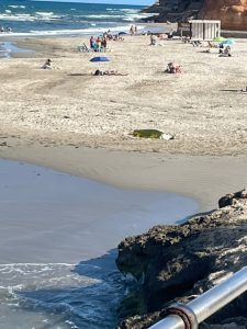 British expat's horror after seeing body of dead Irishman, 76, left ...