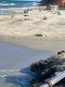 British expat's horror after seeing body of dead Irishman, 76, left ...