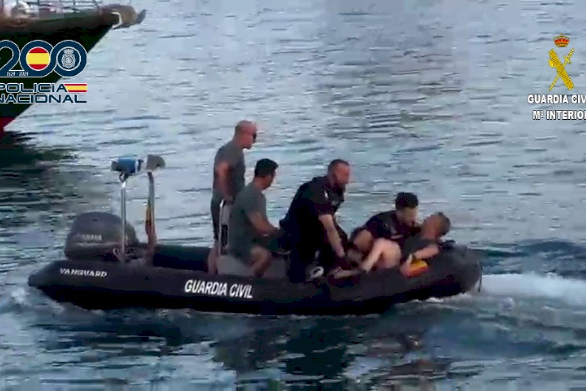 Alarming loss of insect species in Mediterranean forests caused by ...