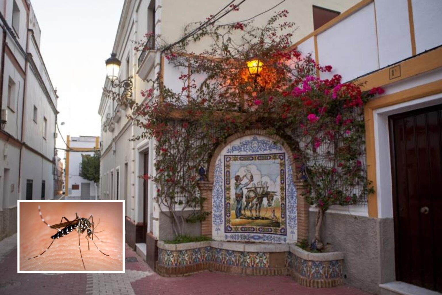 Spain's West Nile ghost town: Residents in Sevilla village 'fear going ...