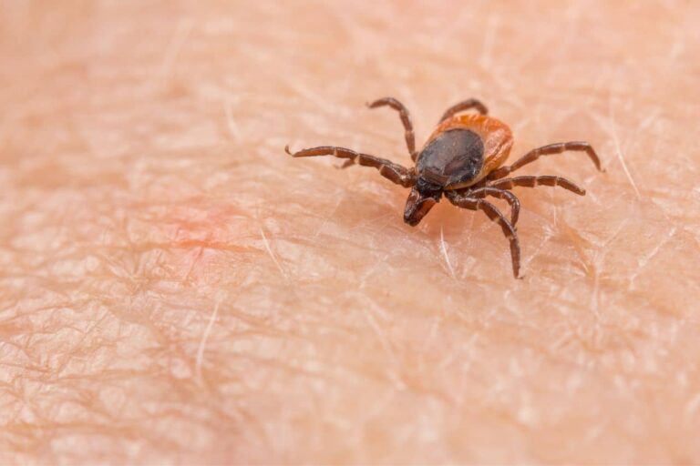 Health authorities in Spain call for calm after detecting possible case ...