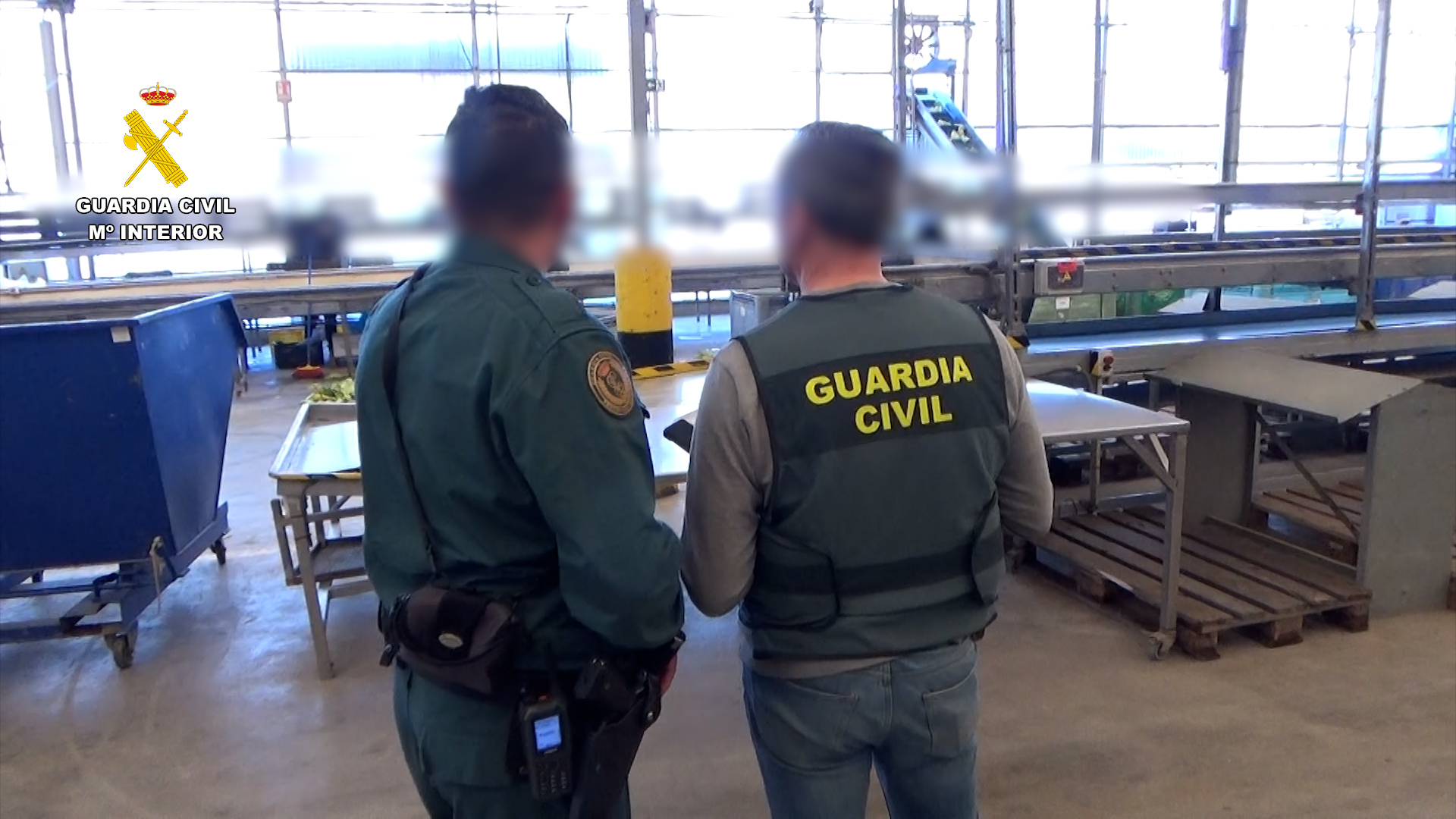 Fruit mafia in Spain sold fake organic produce across Europe for at ...