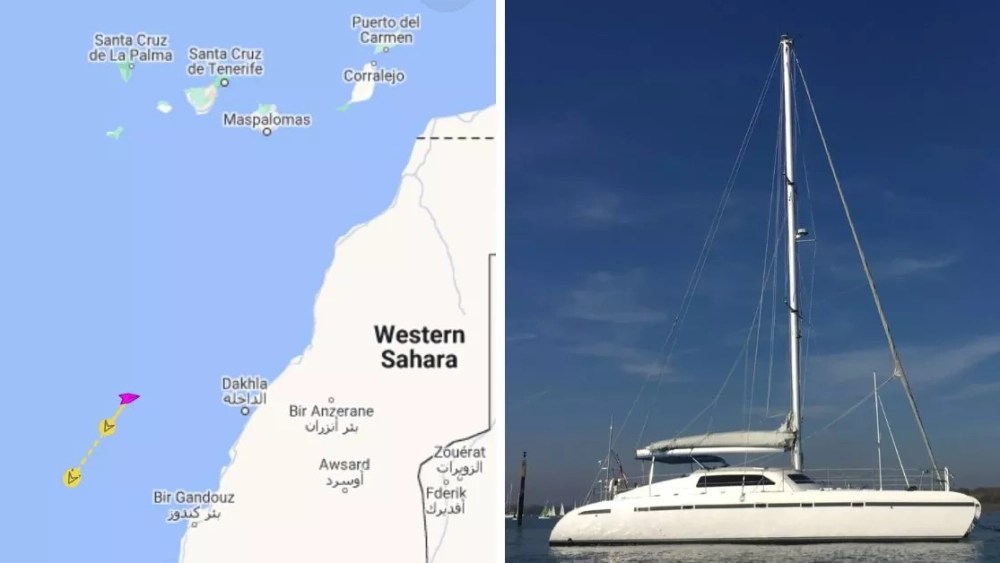 Shark attack victim dies en route to hospital in Spain: German woman ...