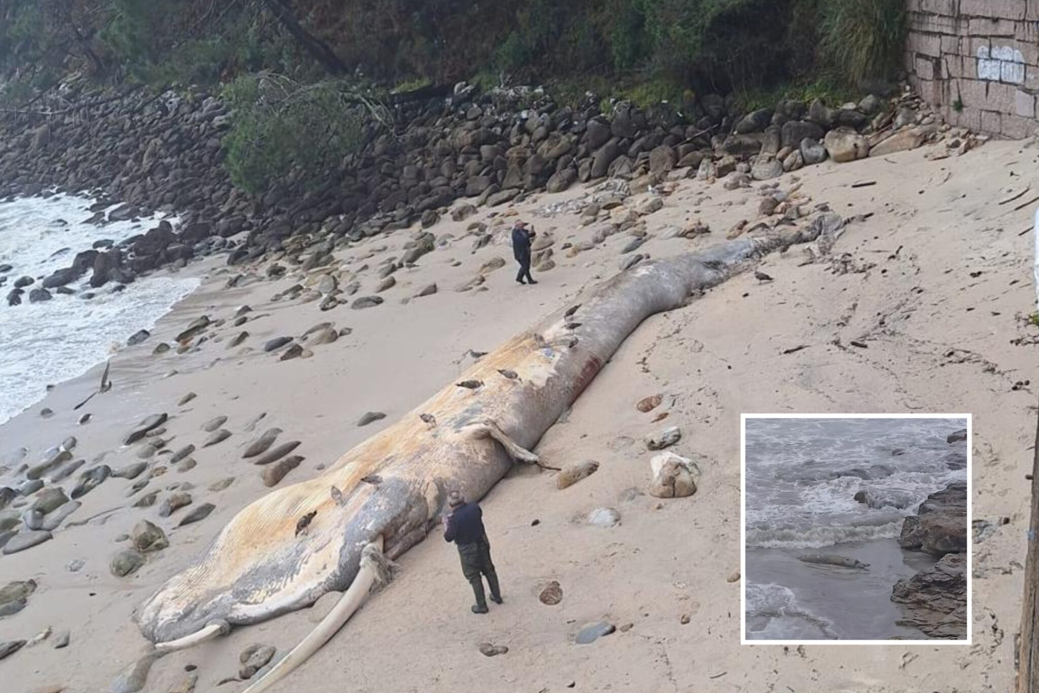 Travel chaos in Spain: Dozens of flights are cancelled and roads and ...