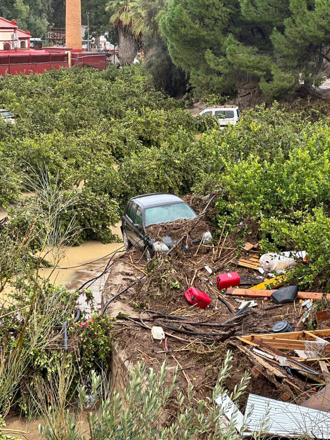 IN PICS: 'Ground zero' of DANA floods in Spain's Malaga after dozens of ...
