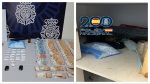 WATCH: Dolphins spotted swimming near the beach in Spain's Estepona ...