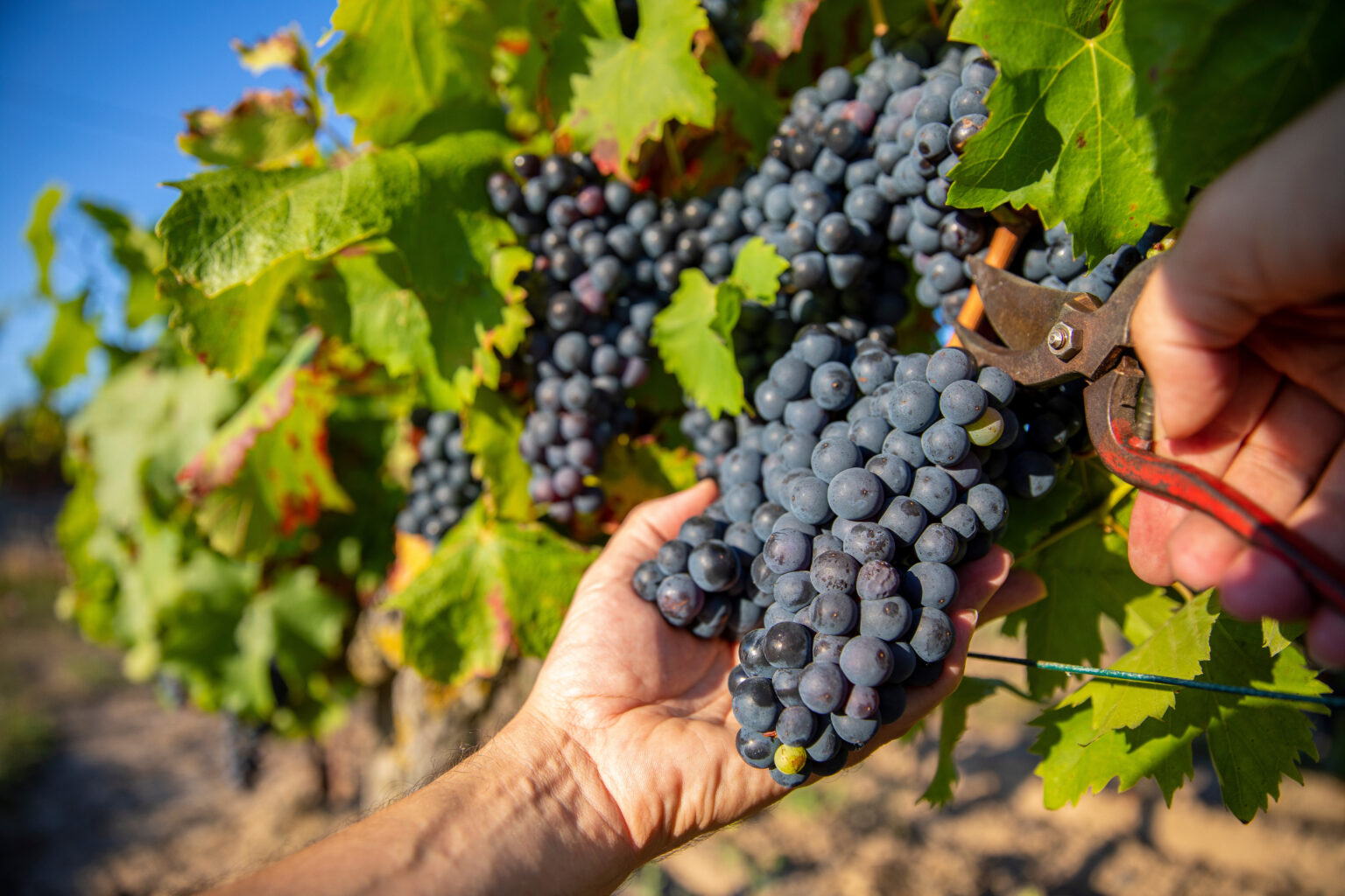 Watch: 'Surprise' torrential rain sparks flooding in Marbella as ...