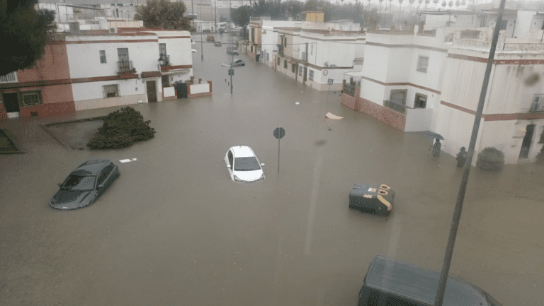 Watch: Chaos in Cadiz and Jerez as rivers burst their banks and trees ...