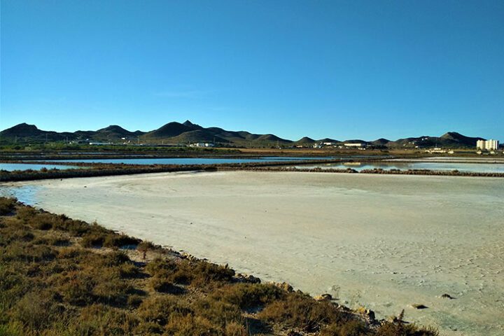 Salt harvest celebrated in Murcia's Mar Menor 30 years after production ...