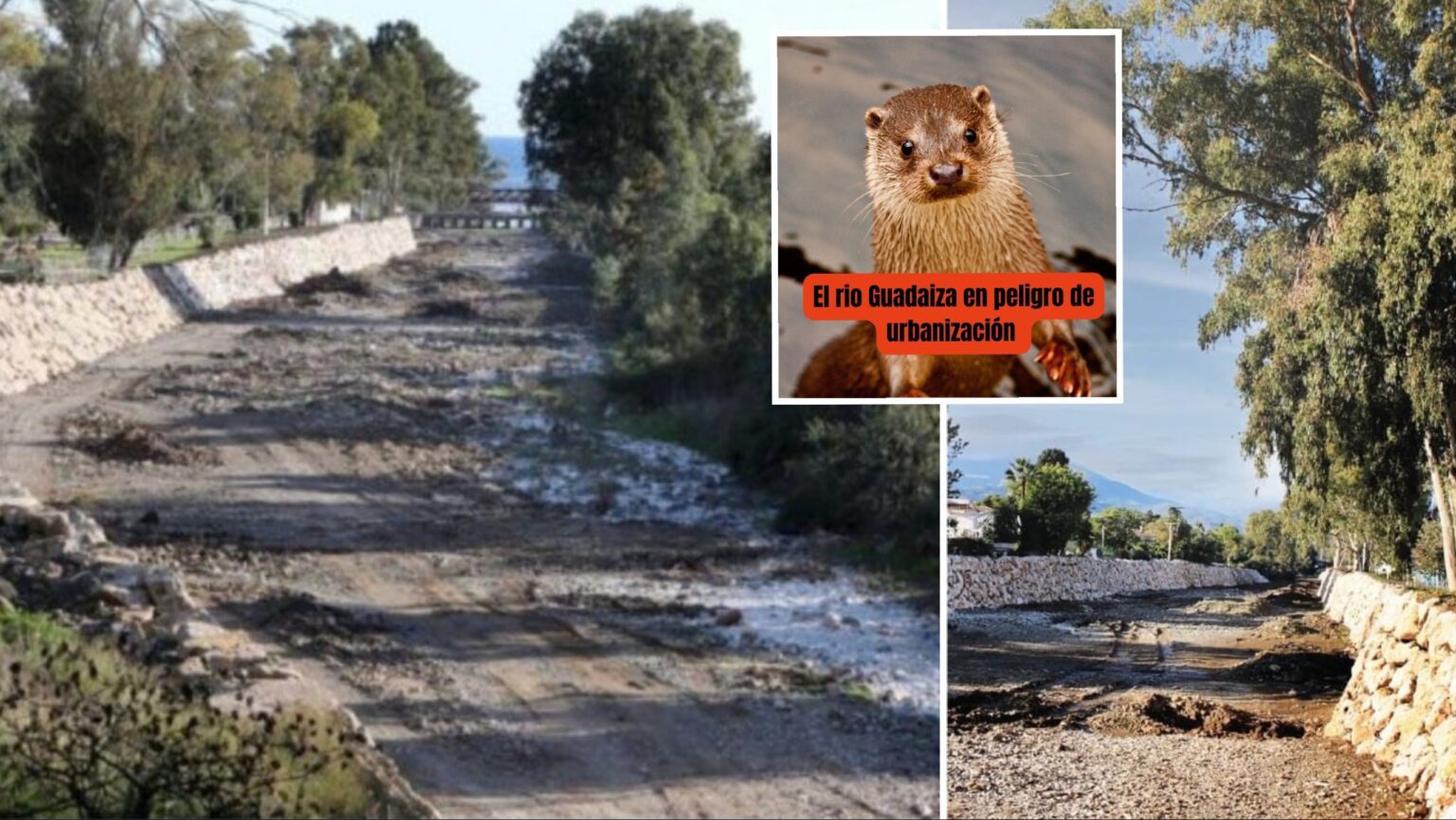 Spain travel alert: US government warns of terrorist plots and 'civil ...