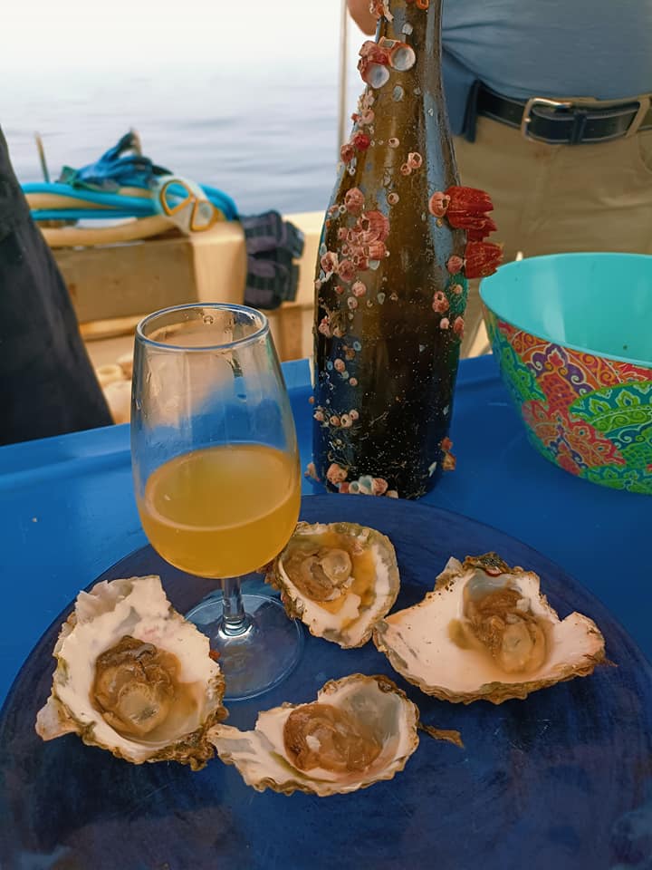 AGE OF AQUARIUS: Meet Spain’s extraordinary first underwater winery and ...