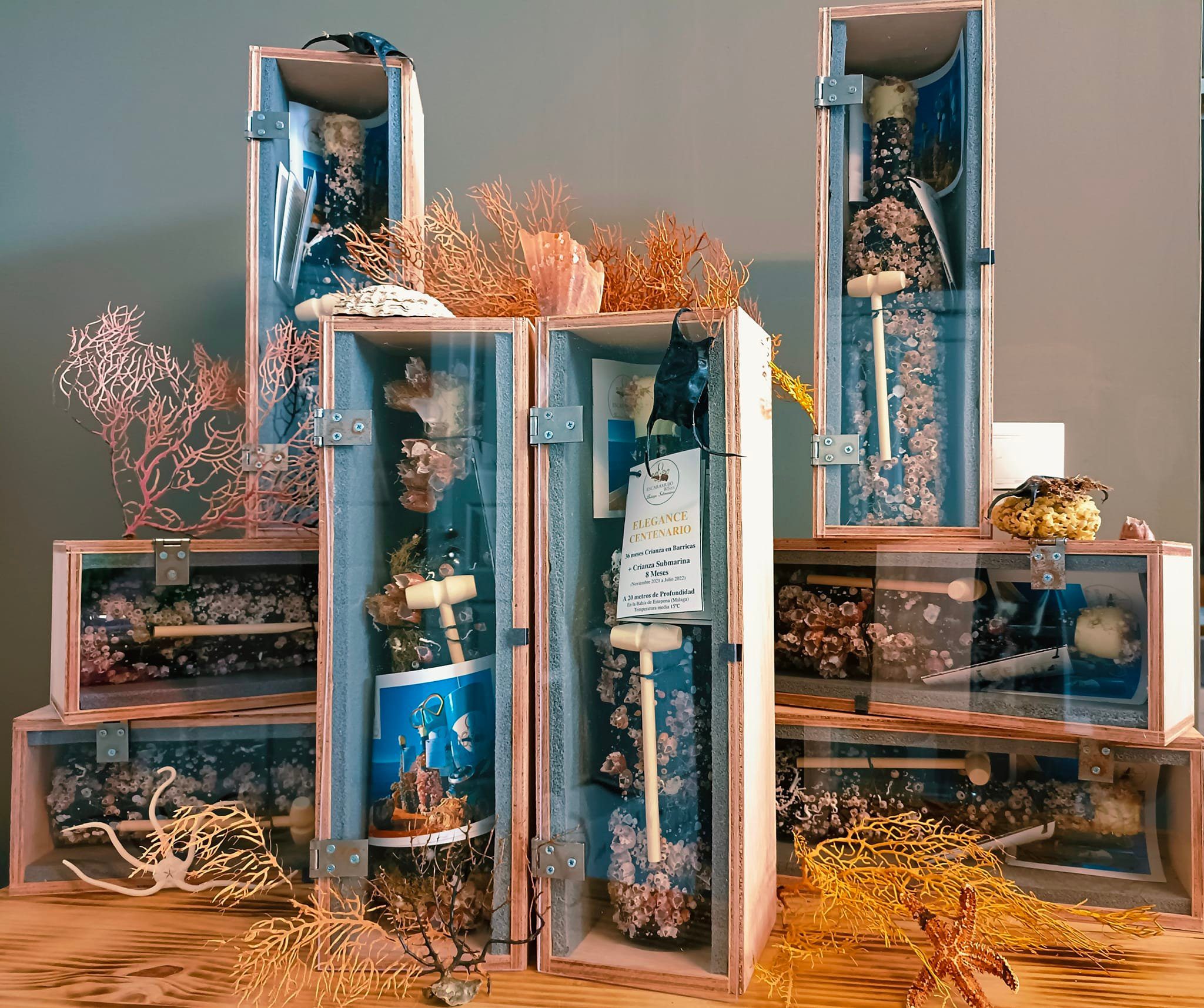 AGE OF AQUARIUS: Meet Spain’s extraordinary first underwater winery and ...