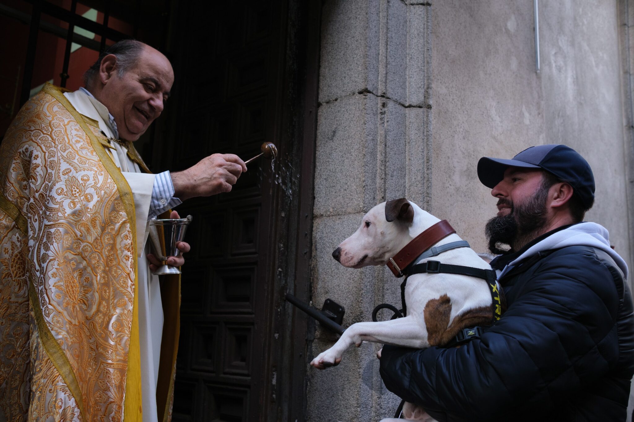 Pets get special blessings from priests in Spain to celebrate patron ...