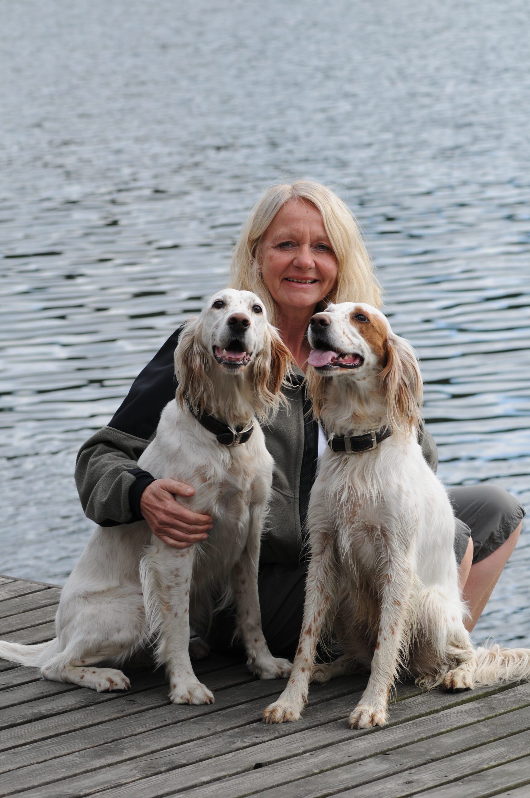 Galgos and Podencos: The silent victims of Spanish hunting culture ...