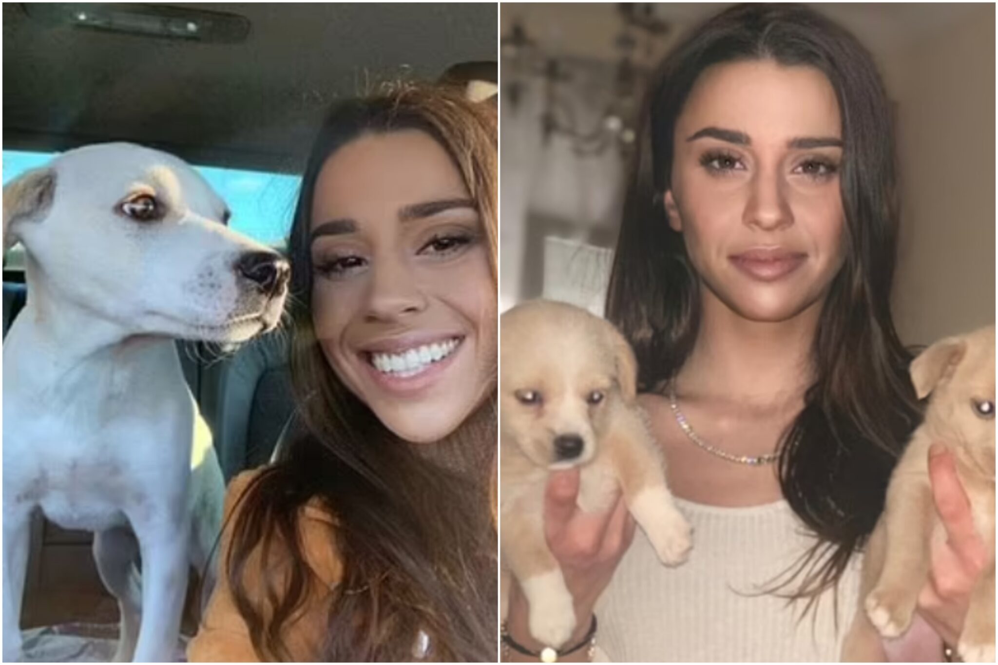 Swedish 'beauty' and 'mafia boss' Tania Gomez 'is arrested in Spain ...