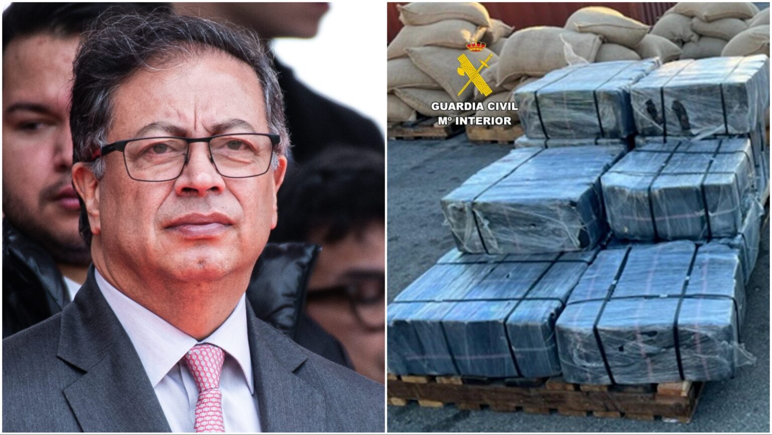 Watch: 'Legendary' black devil fish is filmed near holiday resort in ...