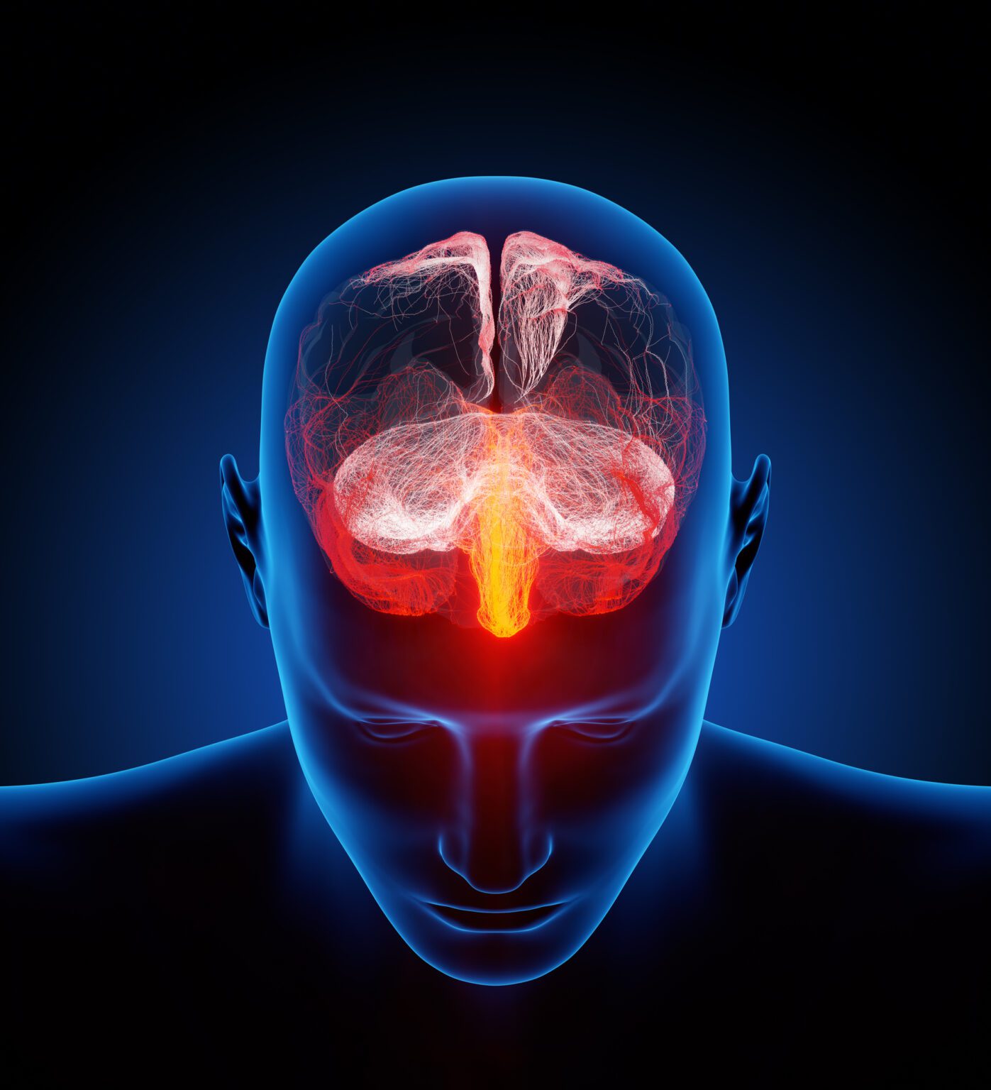 Brain scientists in Barcelona discover ‘basis of human intelligence ...