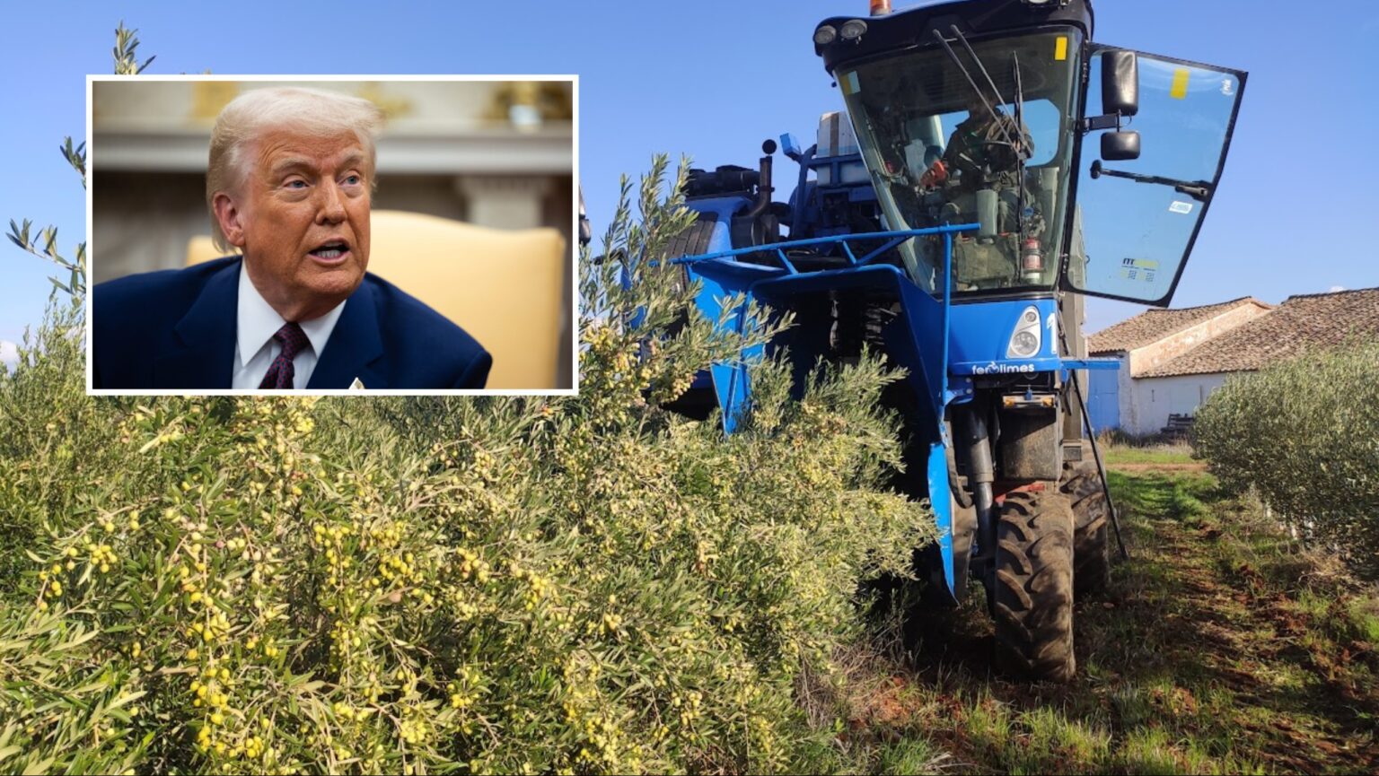 New Trump agricultural tariffs set to hit Spain’s €3.5 billion in ...
