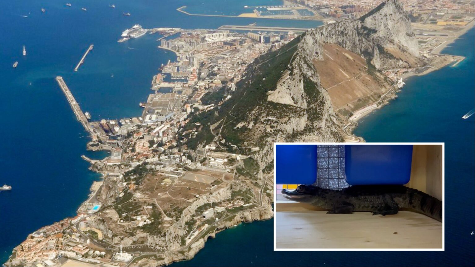 Man admits to owning £200,000 yacht police seized in 2020 in Gibraltar ...