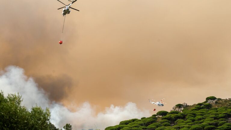 1550 people evacuate as fire ravages the Tarifa - Olive Press News Spain