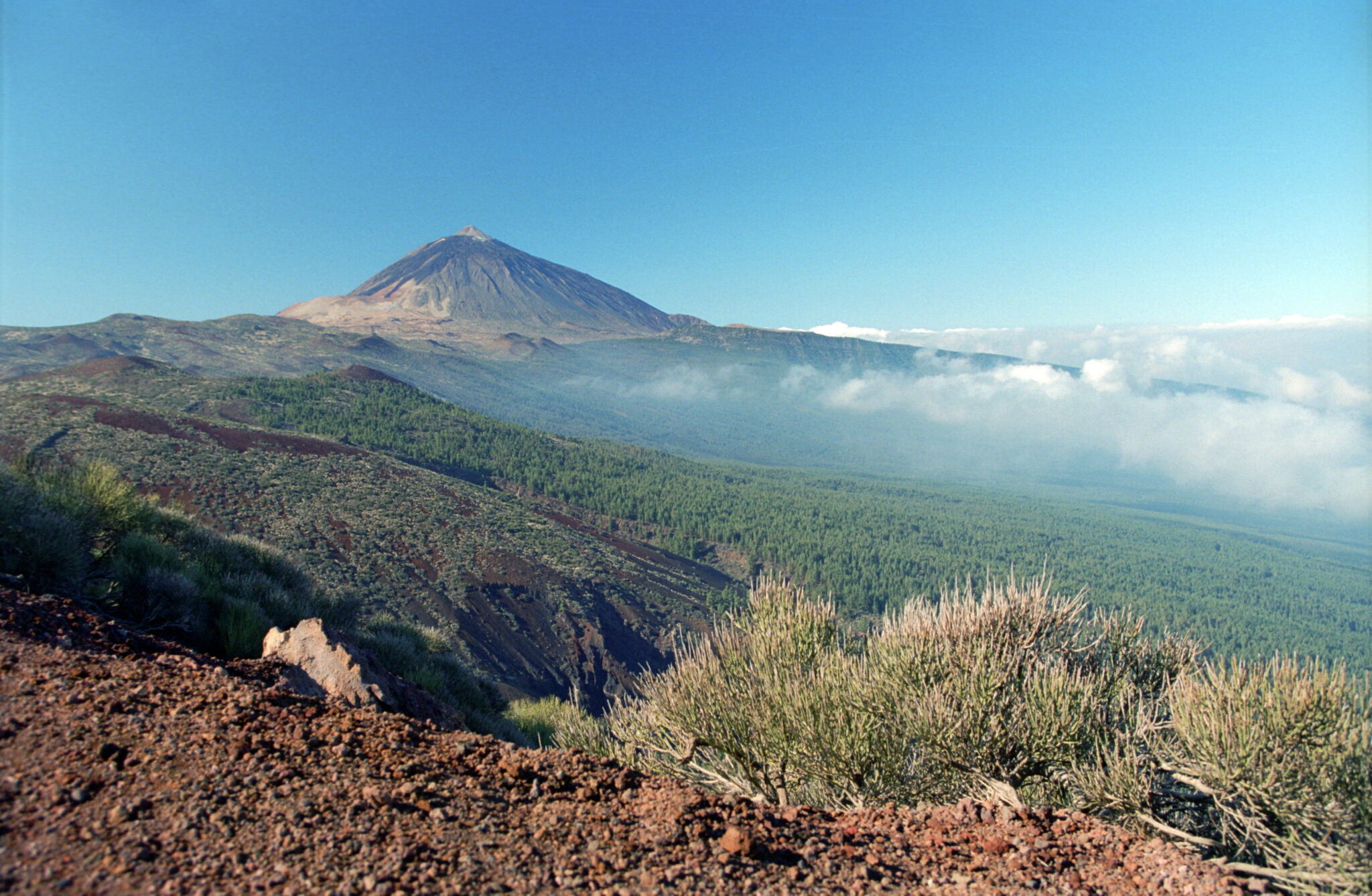 Tenerife to carry out largest-ever volcano eruption drill after recent ...