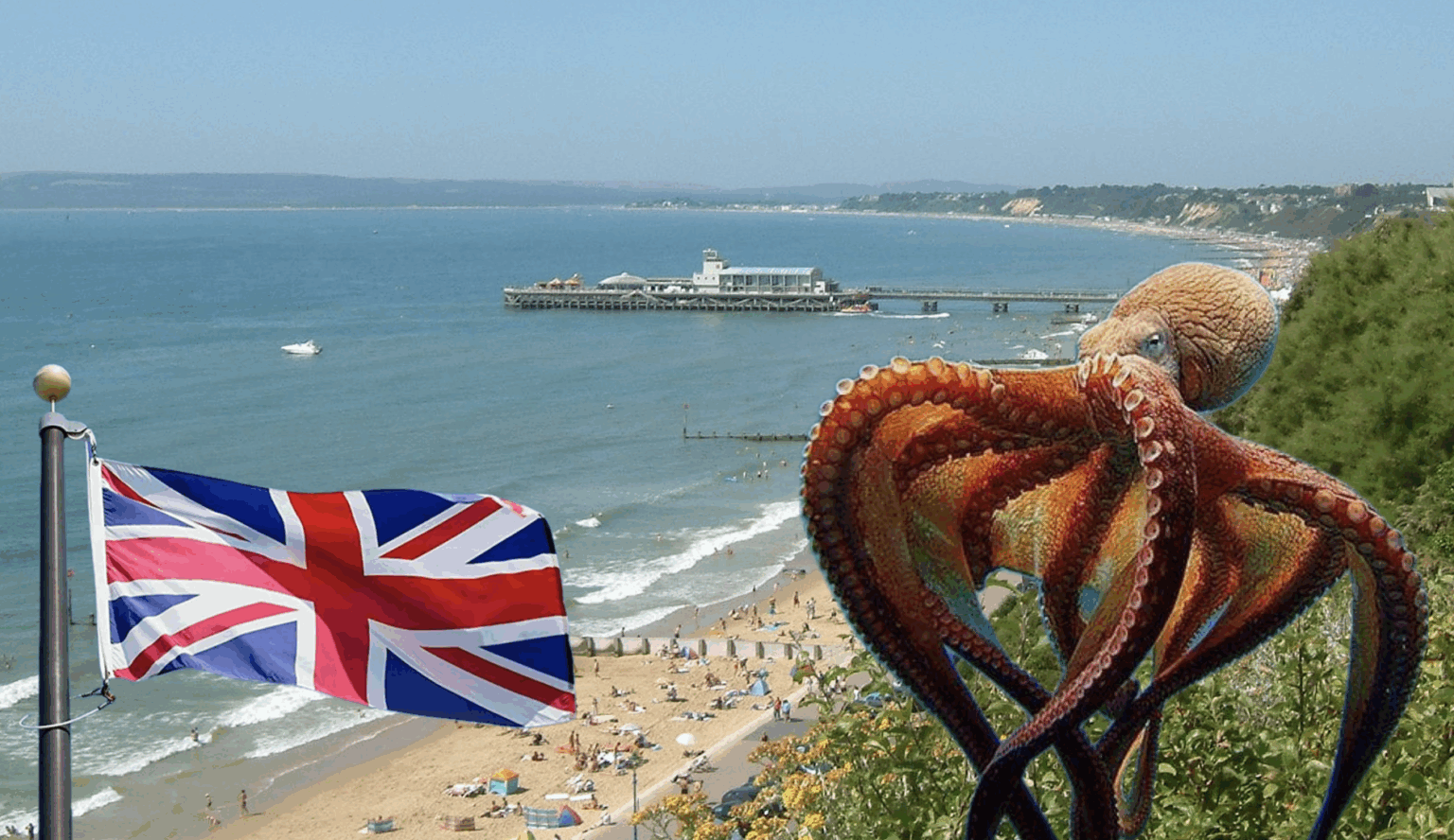 Claims octopuses are leaving Spanish waters for UK shores are a ...